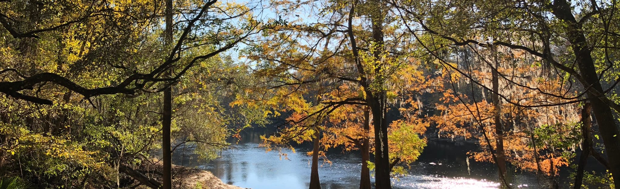 Suwannee River and Lime Sink Run Trail, Florida - 37 Reviews, Map ...