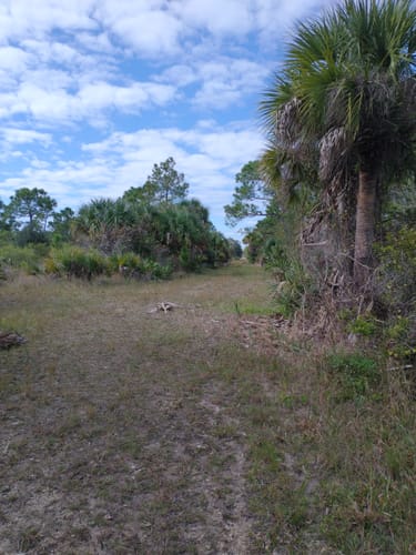 Best Hikes and Trails in Prairie/Shell Creek | AllTrails