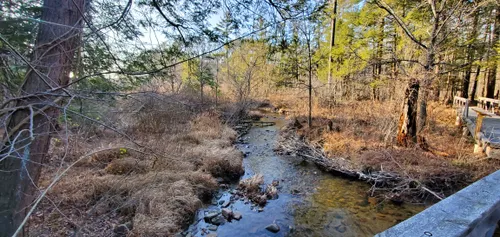 Best Hikes and Trails in Stone Valley Recreation Area | AllTrails