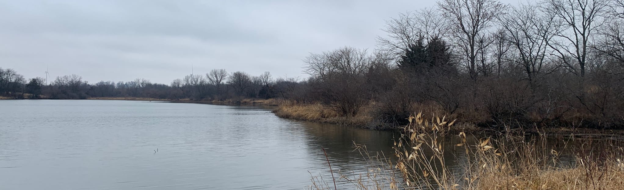 Nodaway Lake Trail: 69 Fotos - Missouri | Wandern | AllTrails