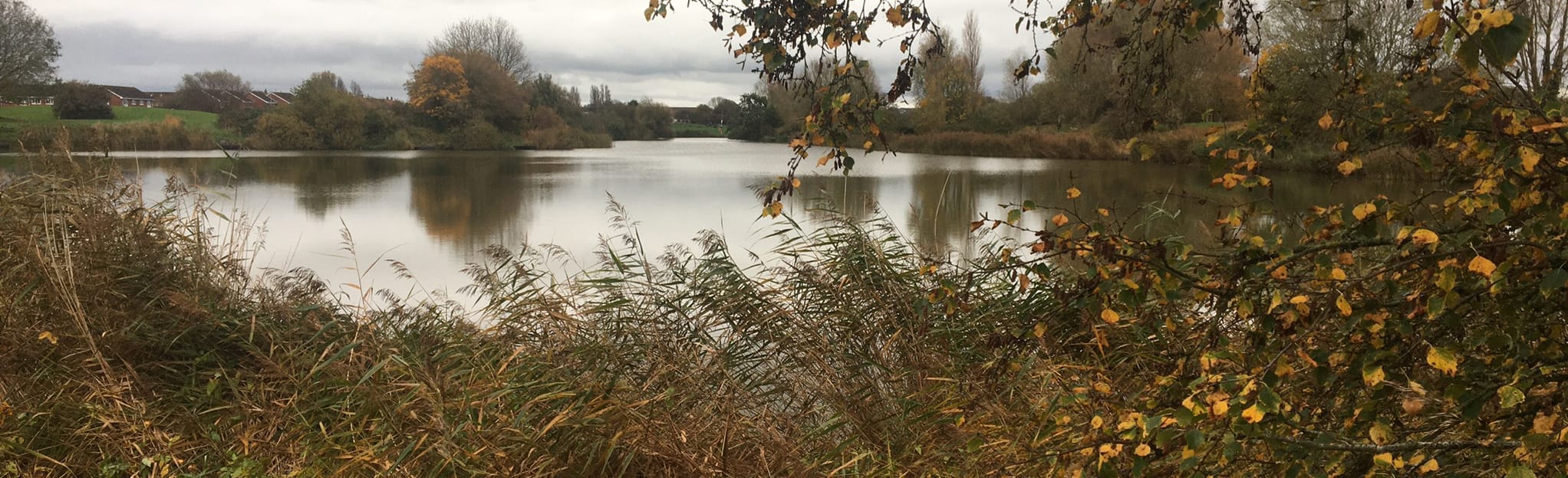 Apex Park and River Parrett Pathway, Somerset, England - 33 Reviews ...