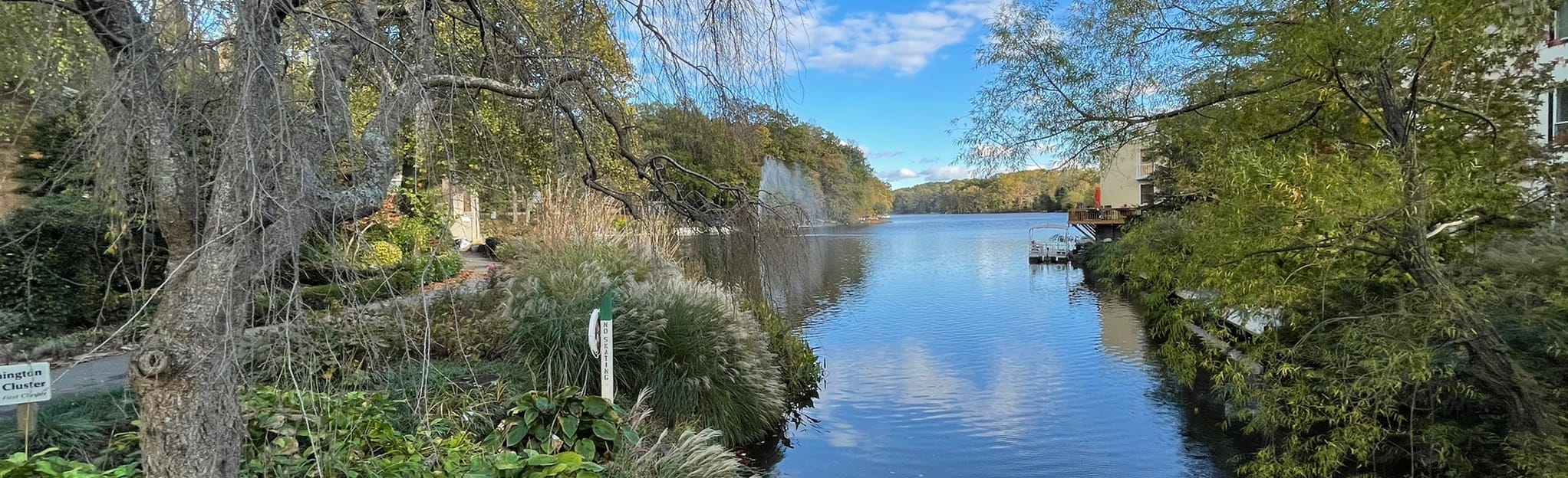 Lake Anne Loop: 240 Reviews, Map - Virginia | AllTrails