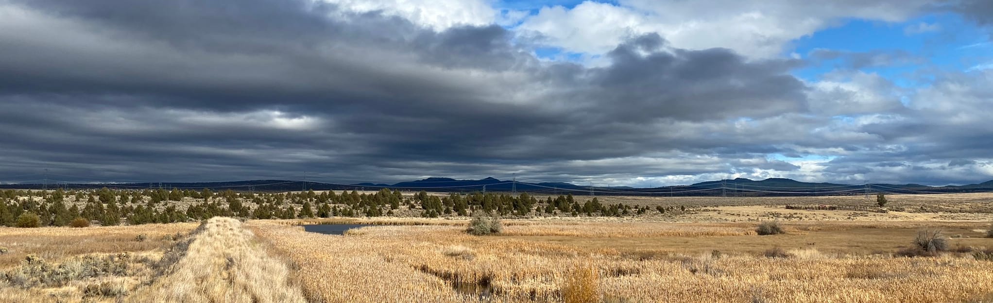 Rimrock Springs Natural Area: 62 Reviews, Map - Oregon | AllTrails