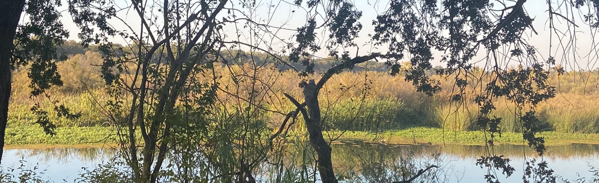 Delta Meadows State Park and Historic Locke Trail [CLOSED] | Map, Guide ...