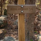 Pinhoti Trail: Adam's Gap to Cheaha State Park, Alabama - 133 Reviews ...