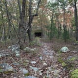 Pinhoti Trail: Adam's Gap to Cheaha State Park, Alabama - 133 Reviews ...