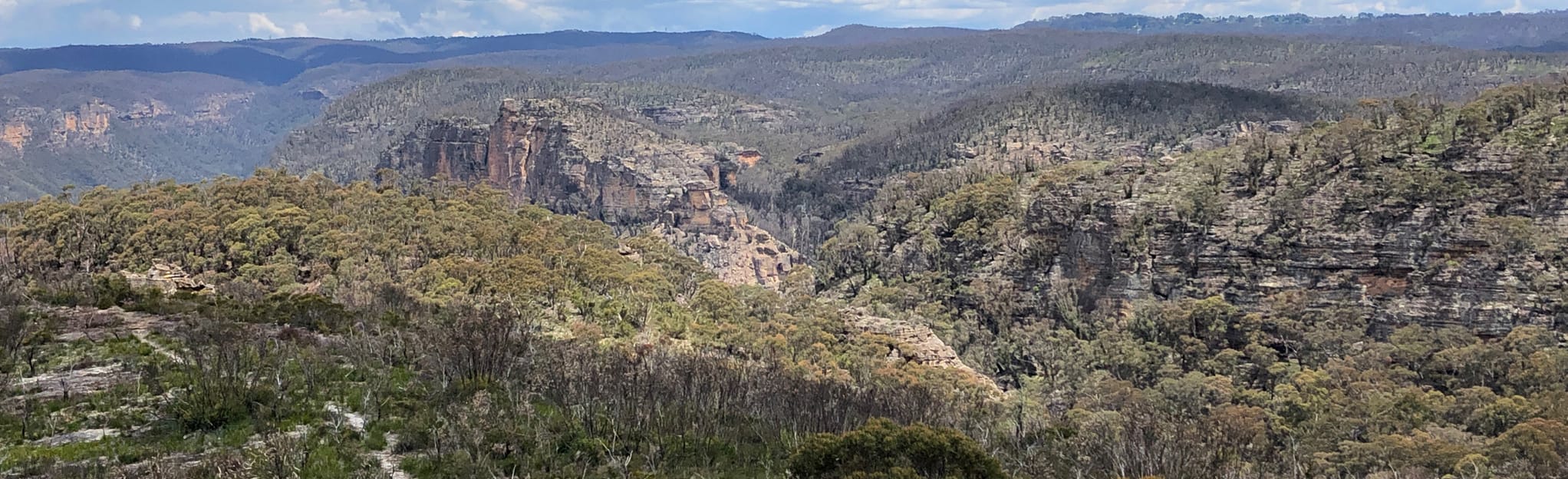 Dalpura Canyon and Jinki Ridge, New South Wales, Australia - 104 Reviews, Map | AllTrails