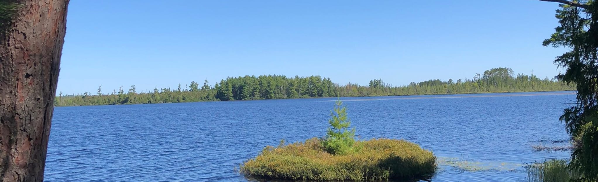 Clark Lake Loop: 75 Reviews, Map - Michigan | AllTrails