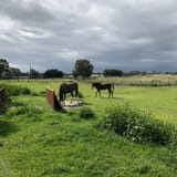 Edithvale Seaford Wetlands Loop, Victoria, Australia - 55 Reviews, Map ...