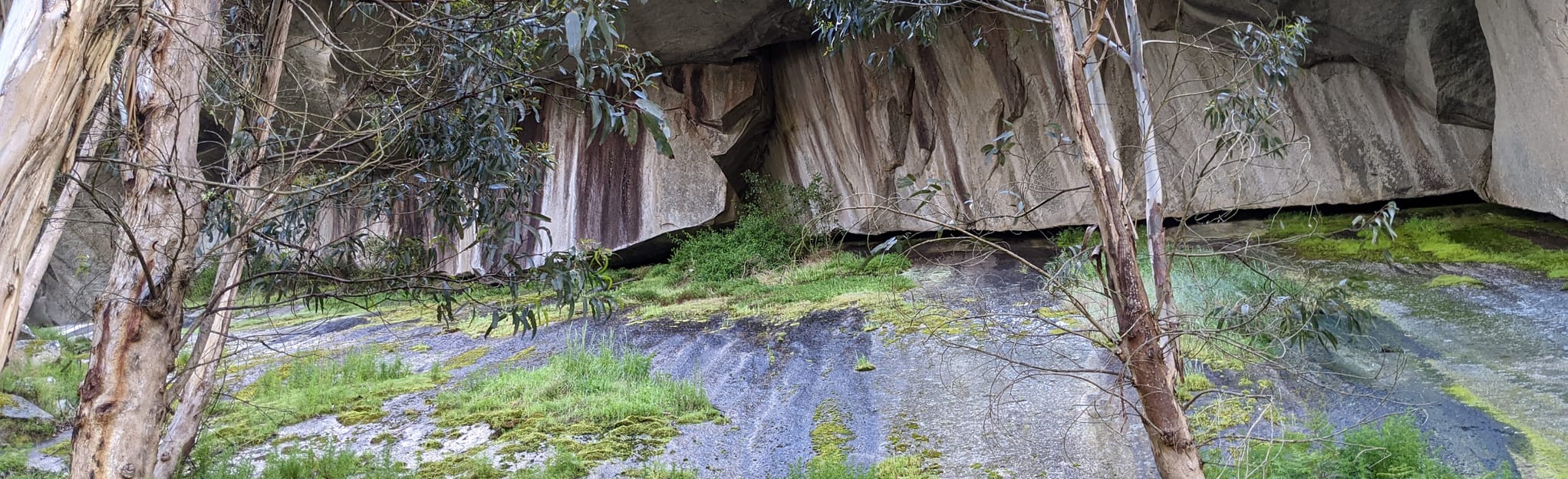 Buckertillible Cave Circuit Loop: 86 foto's - Victoria, Australia ...