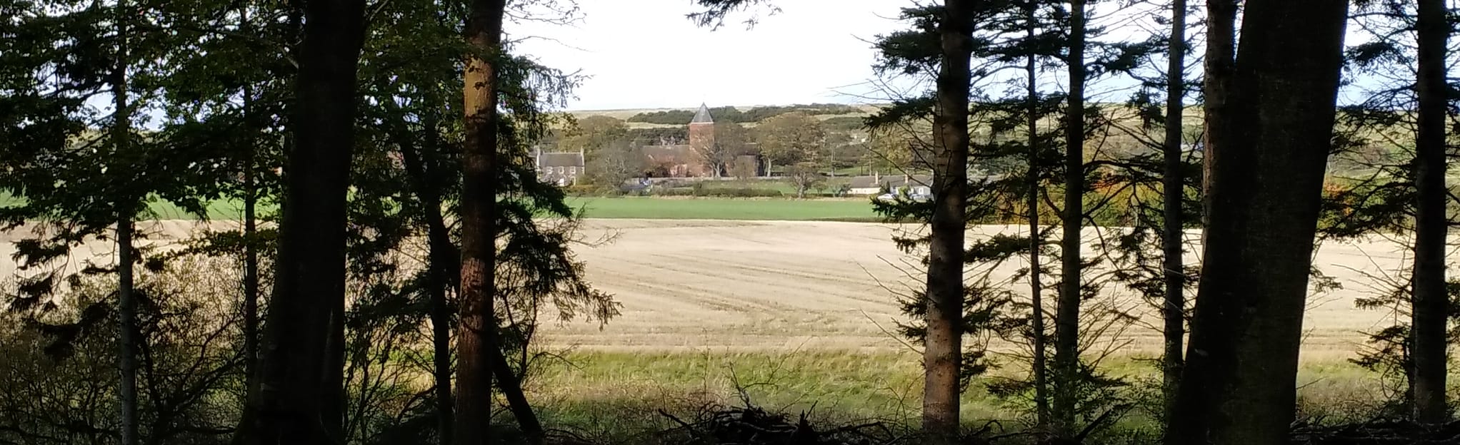 Binning Wood Circular: 41 Reviews, Map - East Lothian, Scotland | AllTrails