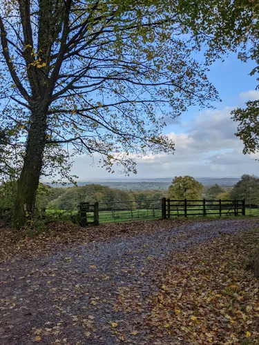 10 Best Hikes and Trails in Blackdown Hills National Landscape (AONB ...