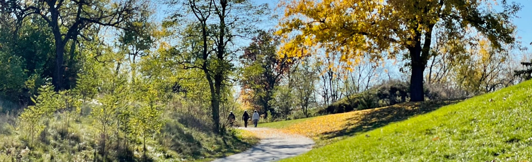 North Scarborough Green Loop: 92 Reviews, Map - Ontario, Canada | AllTrails