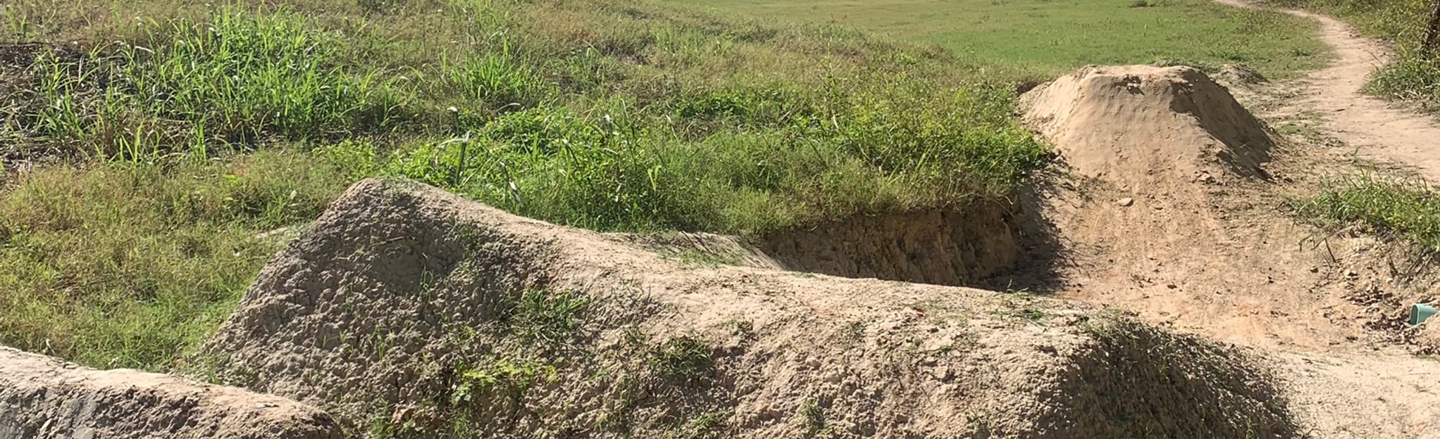 The Anthills Trail via Blue Jay Trail: 405 Reviews, Map - Texas | AllTrails