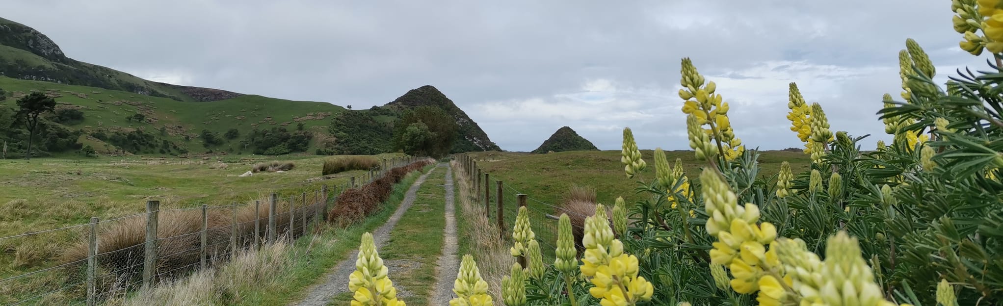 Victory Beach Pyramid Walk, Otago, New Zealand - 52 Reviews, Map ...
