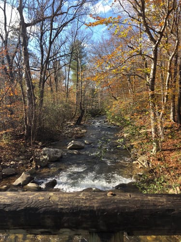 Best Hikes and Trails in Thunder Ridge Wilderness | AllTrails