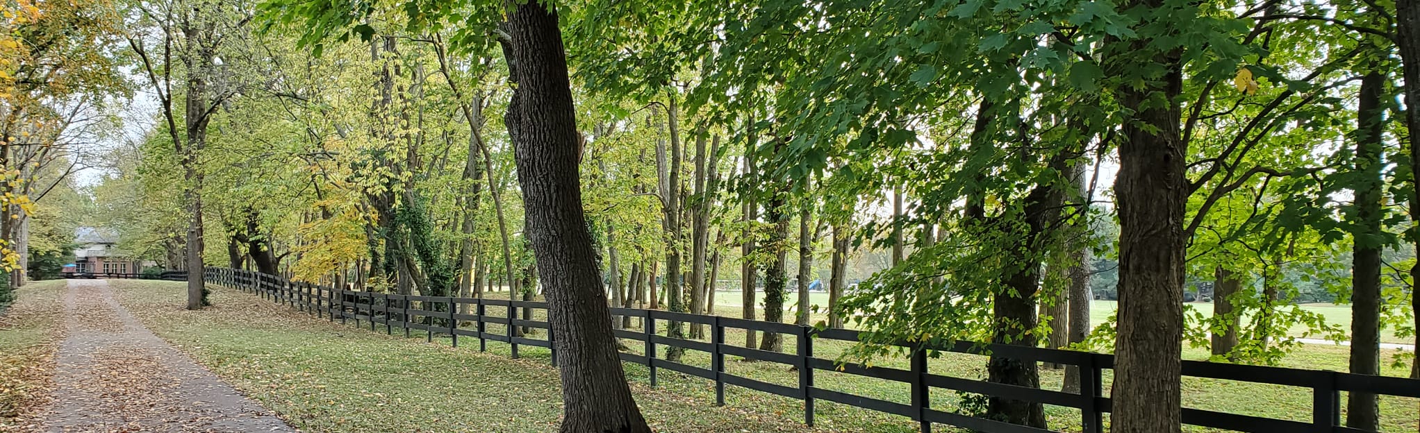 Beaumont Walking Trail, Kentucky - 182 Reviews, Map | AllTrails