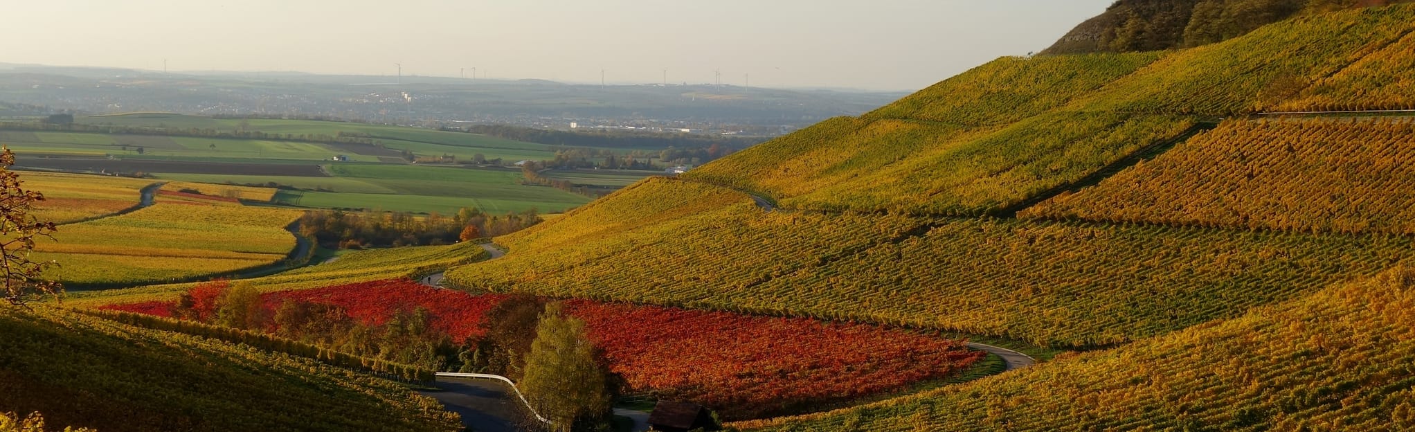 Steigerwald Panoramaweg Stage 4: Iphofen - Abtswind: 61 foto's ...