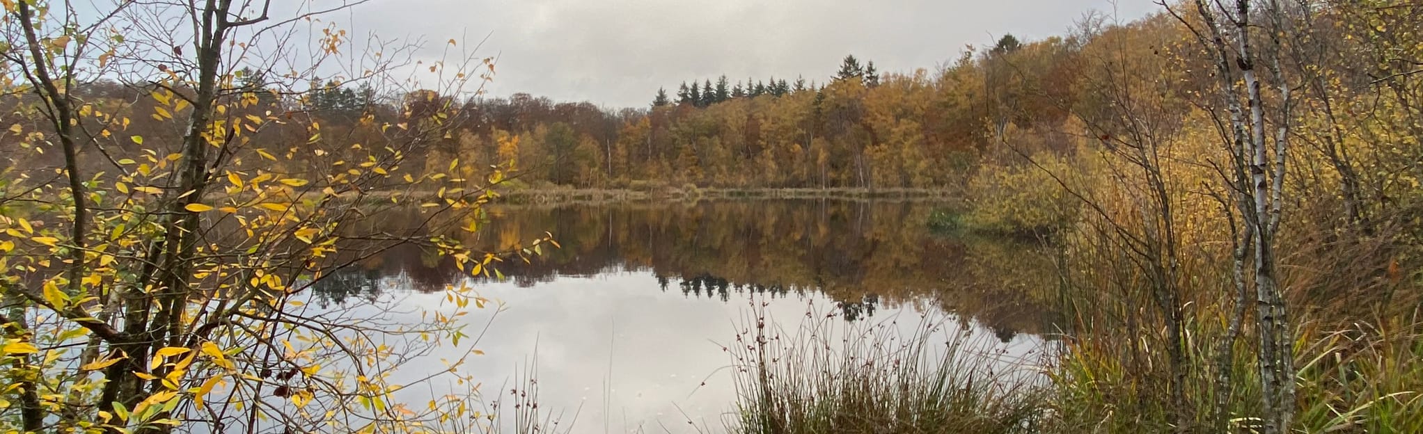 Vedbæk, Grisestien and Bøllemosen Bicycle Loop: 41 foto's - Capital ...