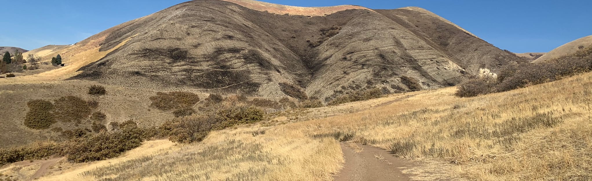 Bonneville Shoreline University of Utah Loop: 266 Reviews, Map - Utah ...