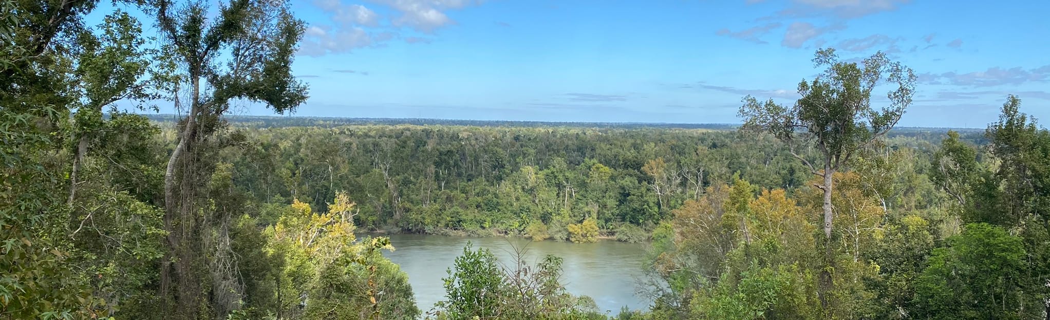 Torreya Trail from Gregory House: 83 Reviews, Map - Florida | AllTrails