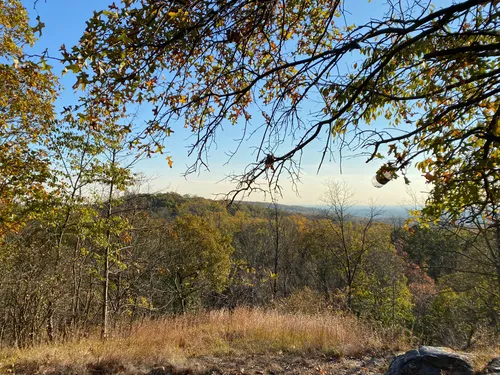 Best Hikes and Trails in Blauvelt State Park | AllTrails