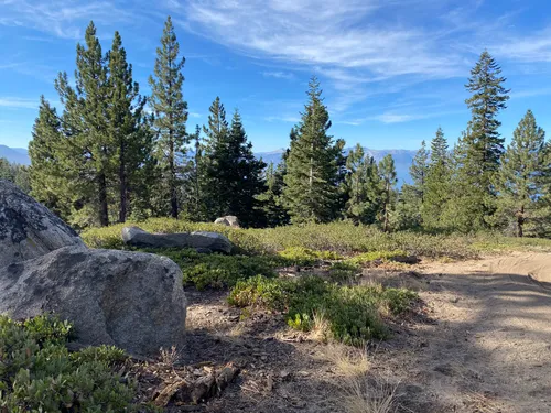 10 Best Off Road Driving Trails in Nevada | AllTrails