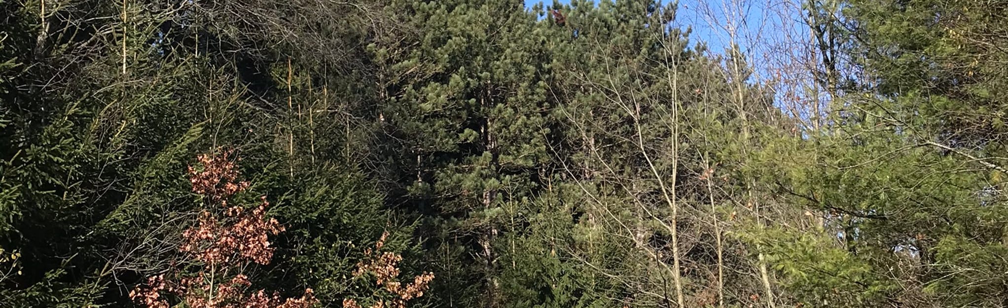 Ice Age Trail: Butler Lake to Greenbush Group Campsites, Wisconsin - 50 ...