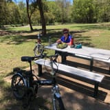 Bulimba Creek Bikeway, Queensland, Australia - 73 Reviews, Map | AllTrails