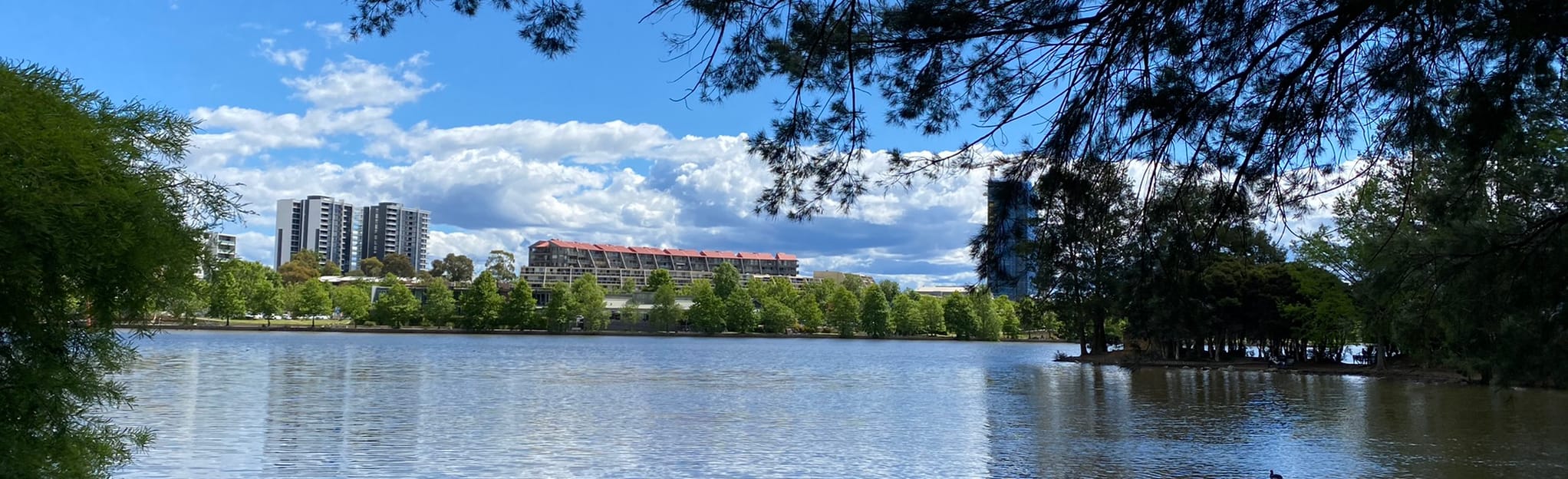 Canberra Centenary Track: Section 4 Hall Village to Black Mountain: 28 ...