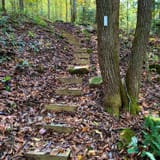 Savage Gulf Extended Loop, Tennessee - 48 Reviews, Map | AllTrails