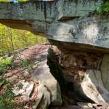 Savage Gulf Extended Loop, Tennessee - 48 Reviews, Map | AllTrails