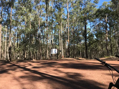 10 Best Hikes and Trails in Daisy Hill Conservation Park | AllTrails