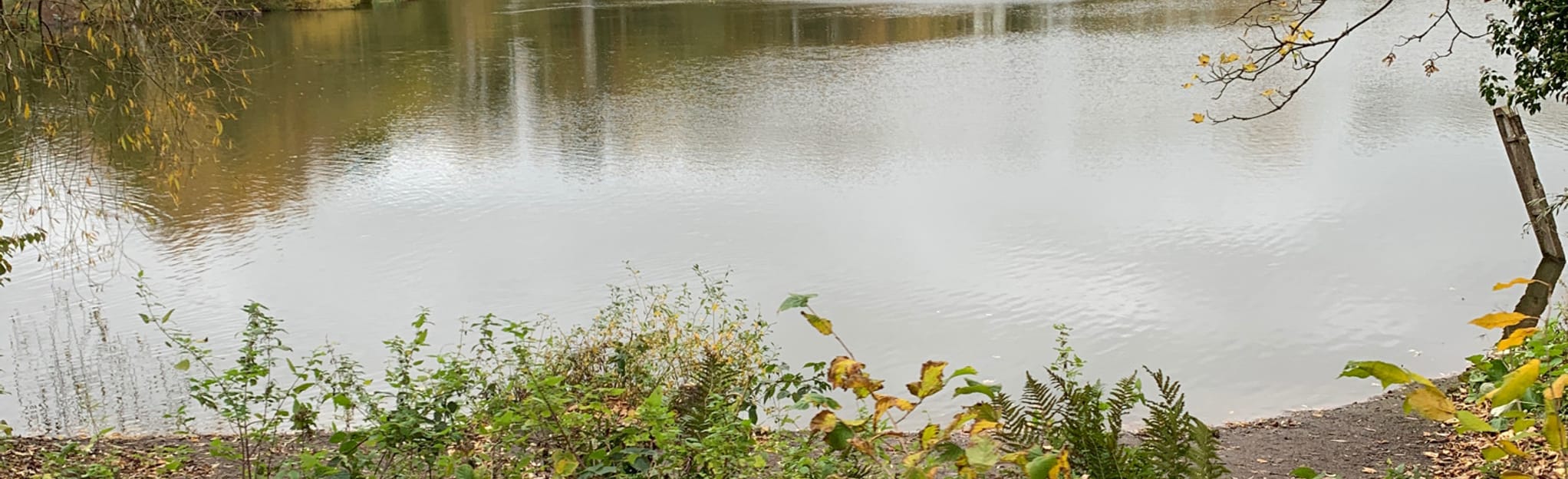 Apley Woods and Castle, Shropshire, England - 48 Reviews, Map | AllTrails