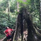 Bukit Mertajam Viewing Point via Cherok Tokun, Penang, Malaysia - 352 ...