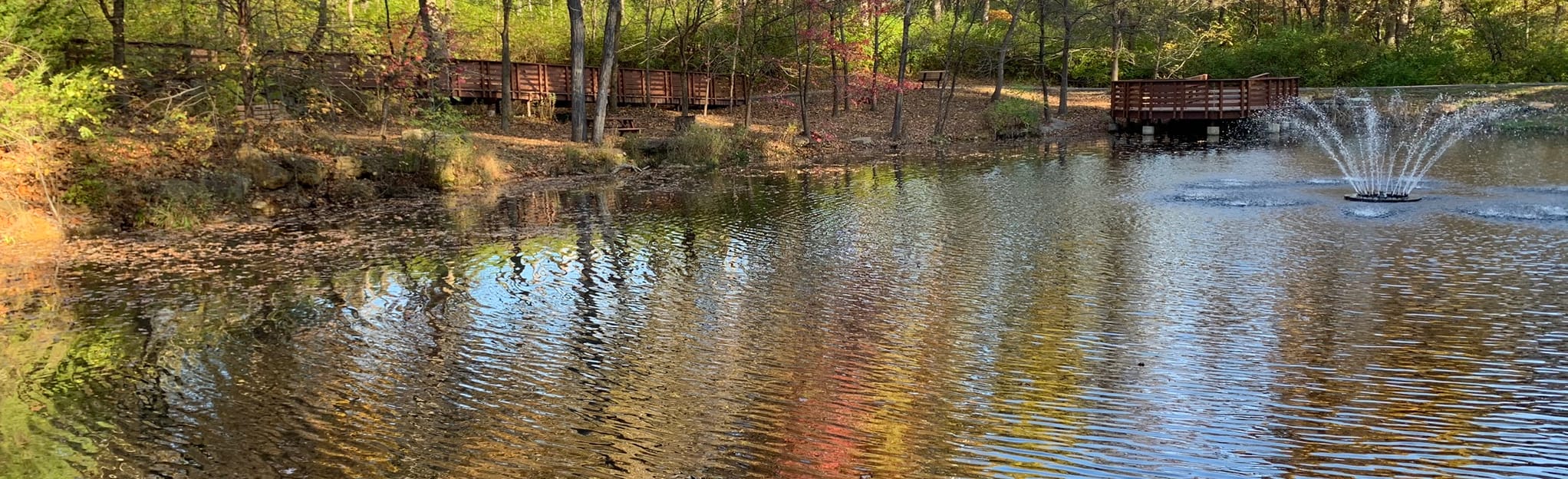 Longview Farm Park Loop, Missouri - 368 Reviews, Map | AllTrails