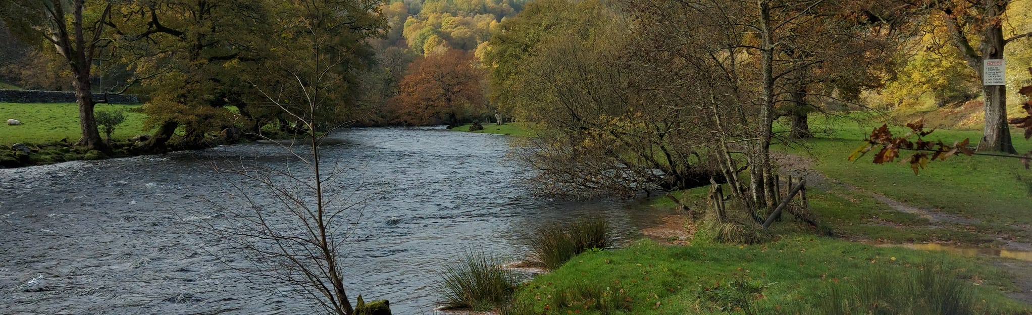 Llwybr Coed Tan Dinas, Conwy, Wales - 58 Reviews, Map | AllTrails