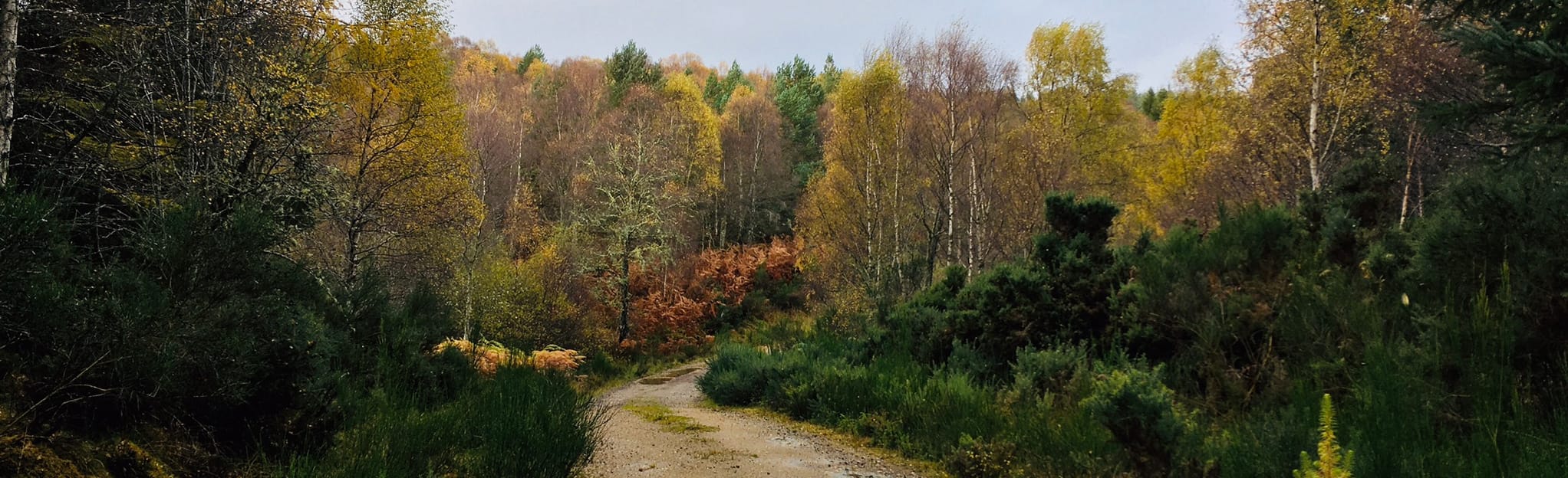 Cnoc Croite na Moile, Highlands, Scotland - 13 Reviews, Map | AllTrails