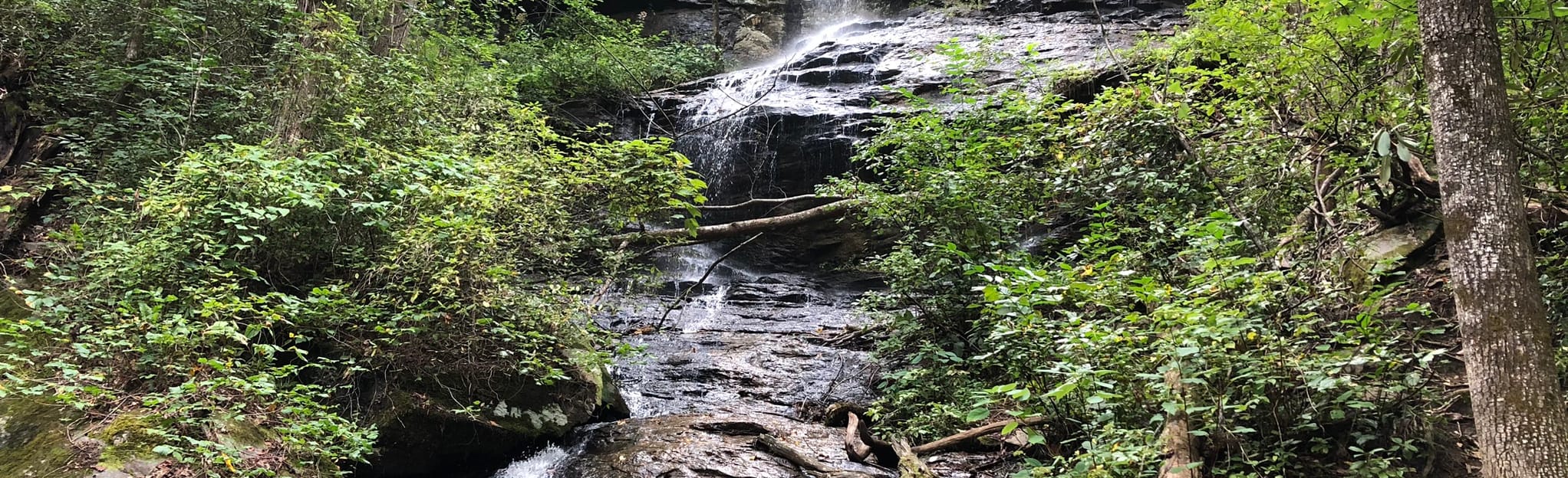 Hidden Falls Trail, South Carolina - 589 Reviews, Map | AllTrails