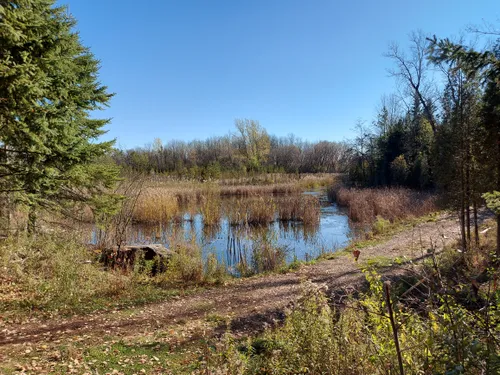 Best Easy Trails in Guindon Park | AllTrails