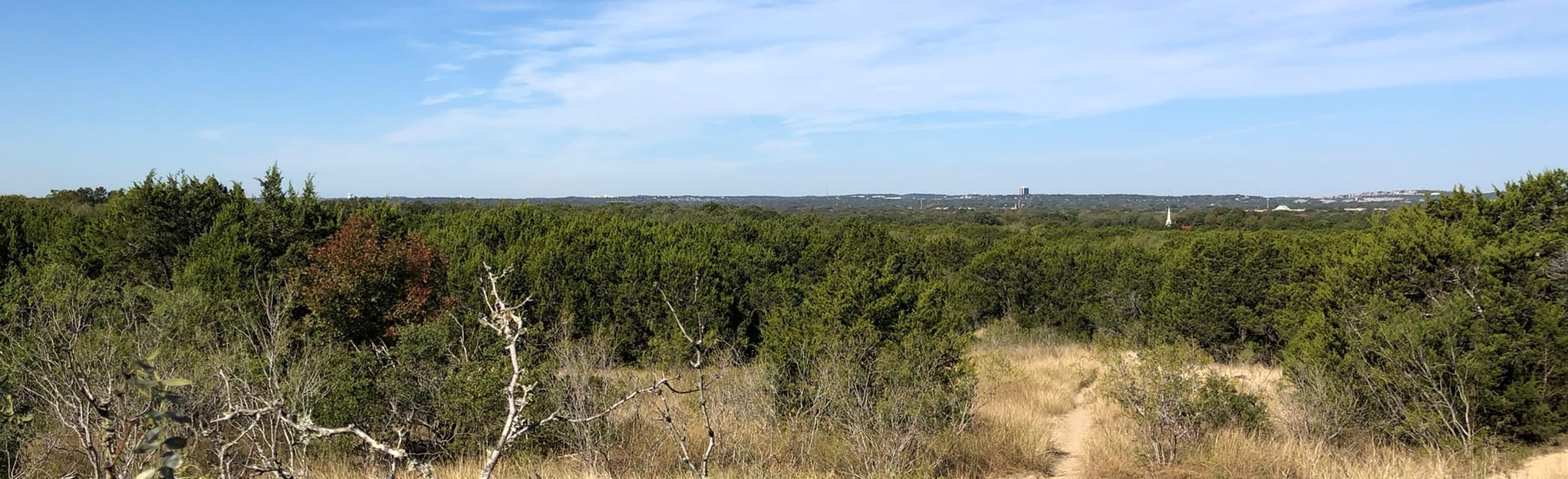 Stephenson Preserve Outer Loop, Texas - 297 Reviews, Map | AllTrails