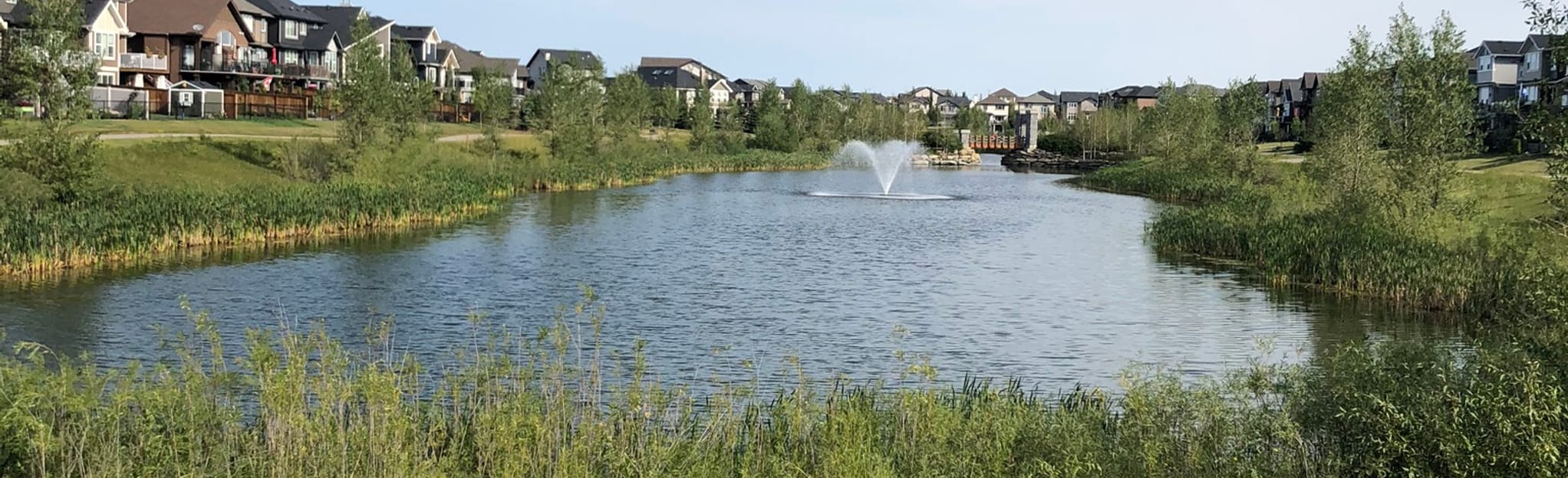 Kings Heights Ponds Loop: 35 Reviews, Map - Alberta, Canada | AllTrails