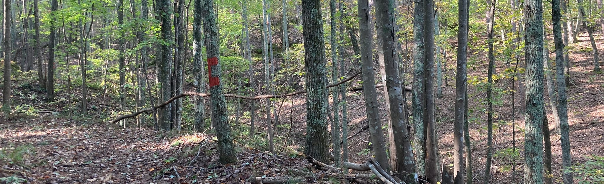 Berry College Reservior Trail, Georgia - 9 Reviews, Map | AllTrails