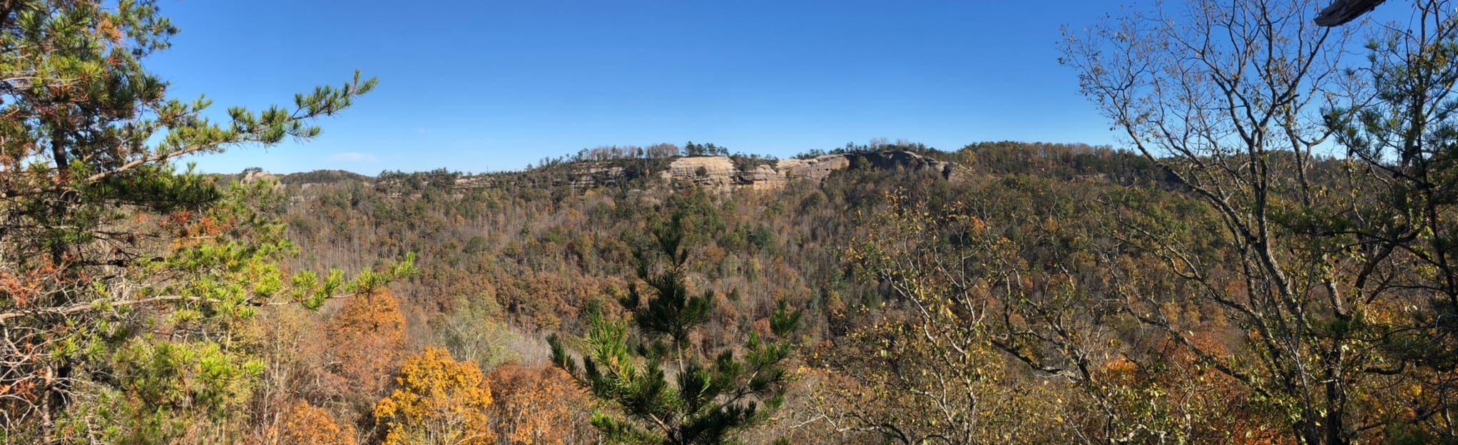 Double Arch Trail: 923 Reviews, Map - Kentucky | AllTrails