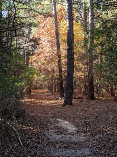 10 Best Trails and Hikes in Fayetteville | AllTrails