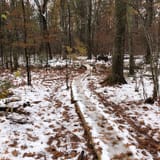 Spring Hill Yellow and Blue Loop Trail, Massachusetts - 236 Reviews ...