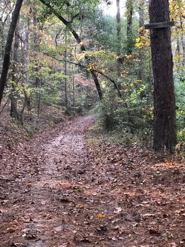 10 Best Trails and Hikes in Aiken | AllTrails