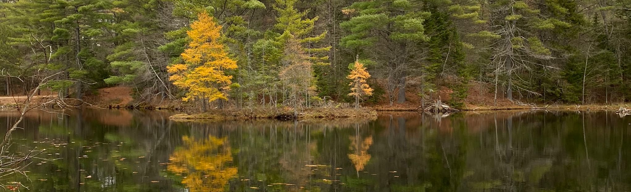 Beaver Park Perimeter Trail Loop, Maine - 36 Reviews, Map | AllTrails