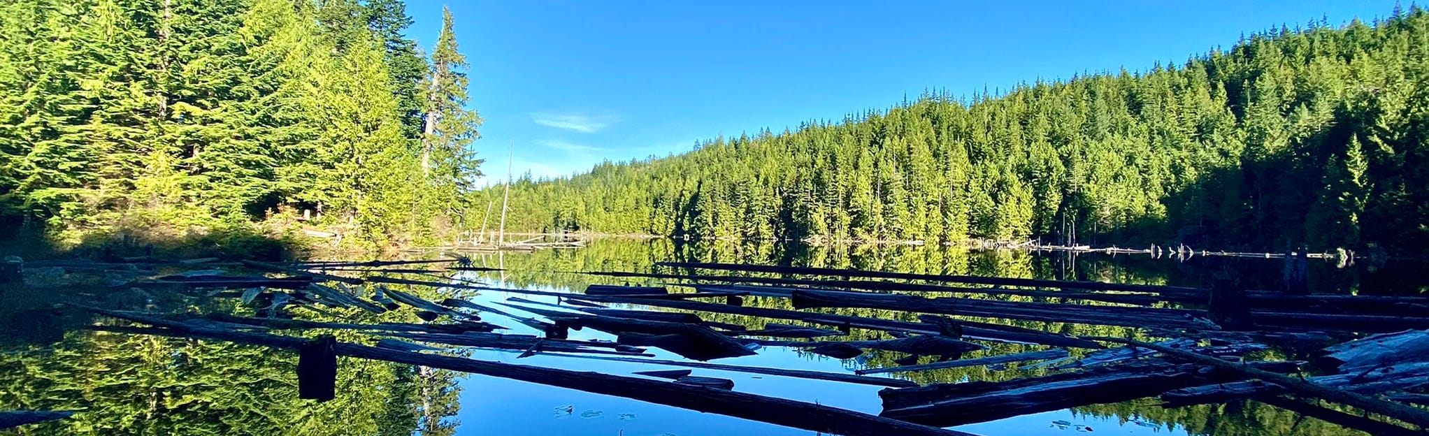 Hoover Lake Trail - British Columbia, Canada | AllTrails