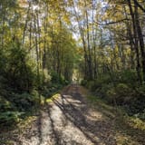 Shell Road Trail , British Columbia, Canada - 121 Reviews, Map | AllTrails